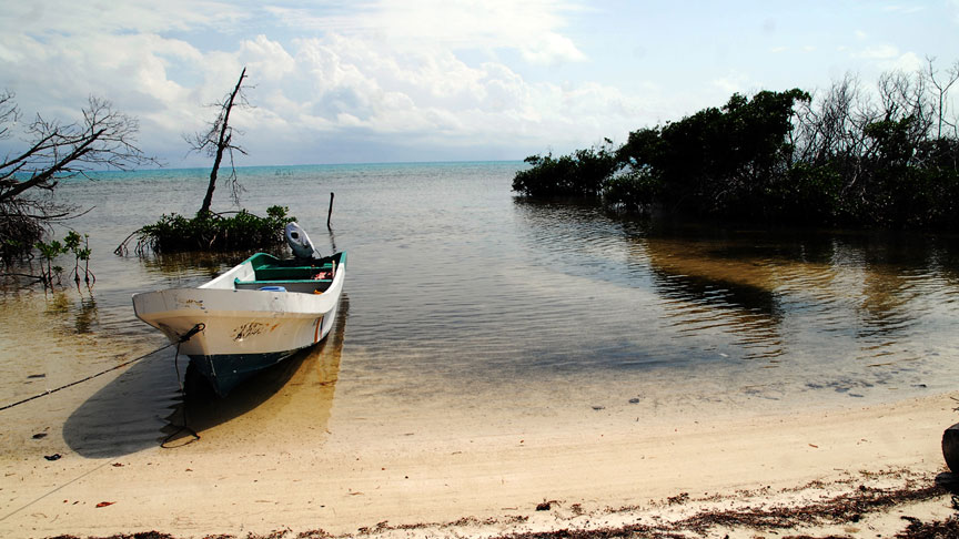 El mejor snorkel en Chinchorro - Pepe Dive Mahahual