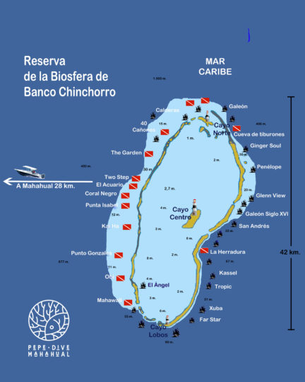 Diving in Chinchorro, Mahahual and Xcalak - Pepe Dive Mahahual